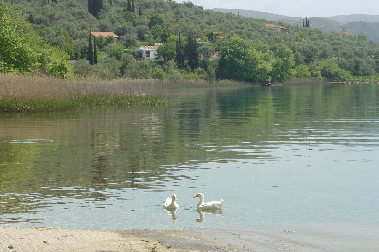 Τριχωνίδα το πέλαγος της Αιτωλίας - ΑγρίνιοCulture